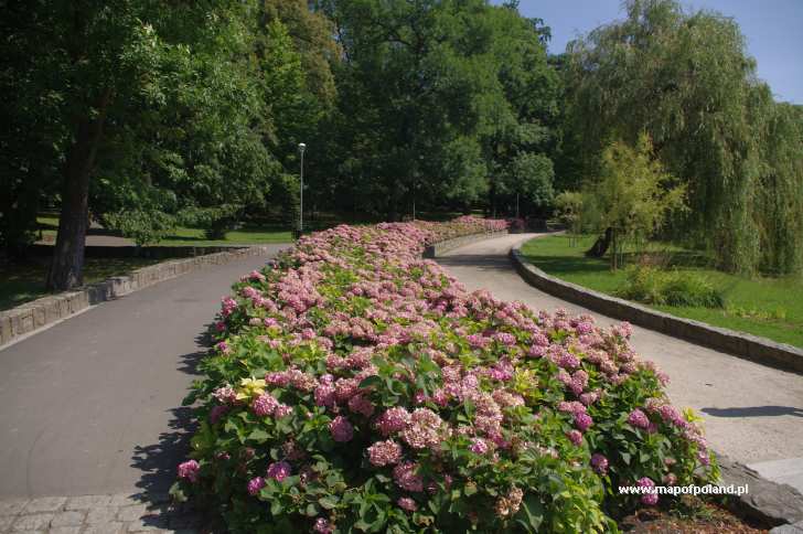 Raciborz map - city plan, index of streets