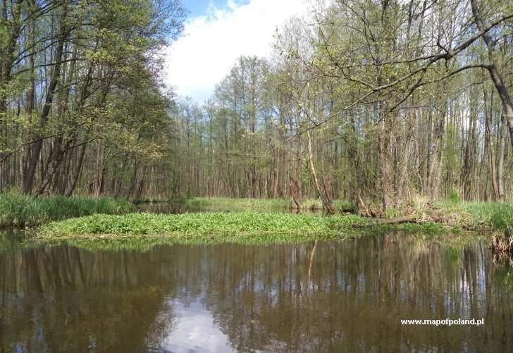 Augustow - photos, photo gallery, tourist attractions